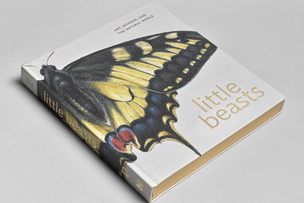 Little Beasts: Art, Wonder, and the Natural World | National Gallery of Art