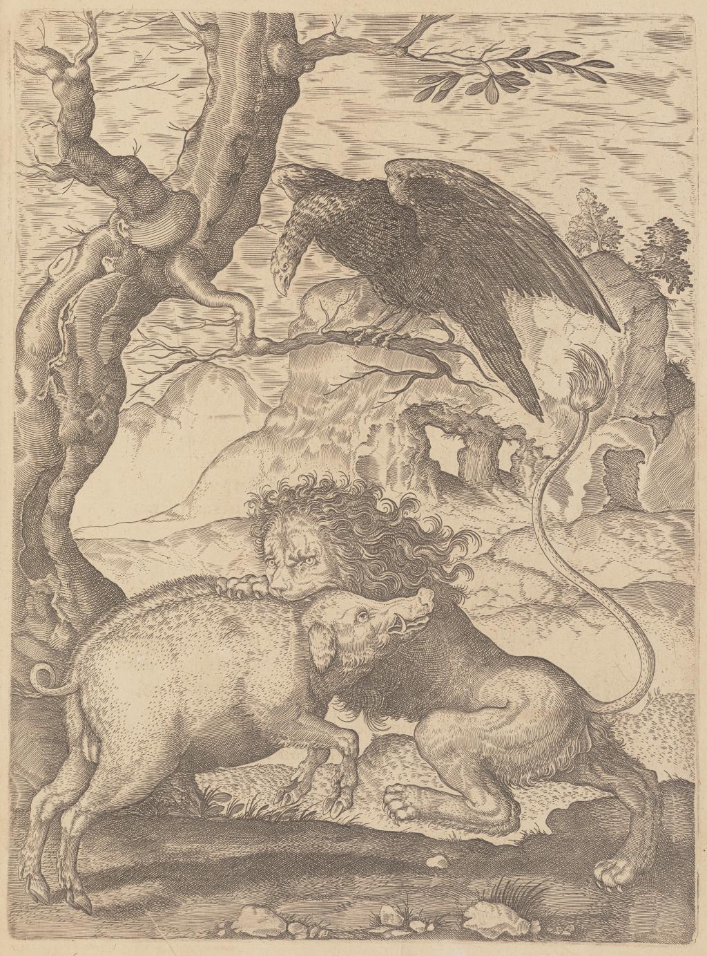 In the Library: Animal Illustration in Europe, 1550–1750 | National ...