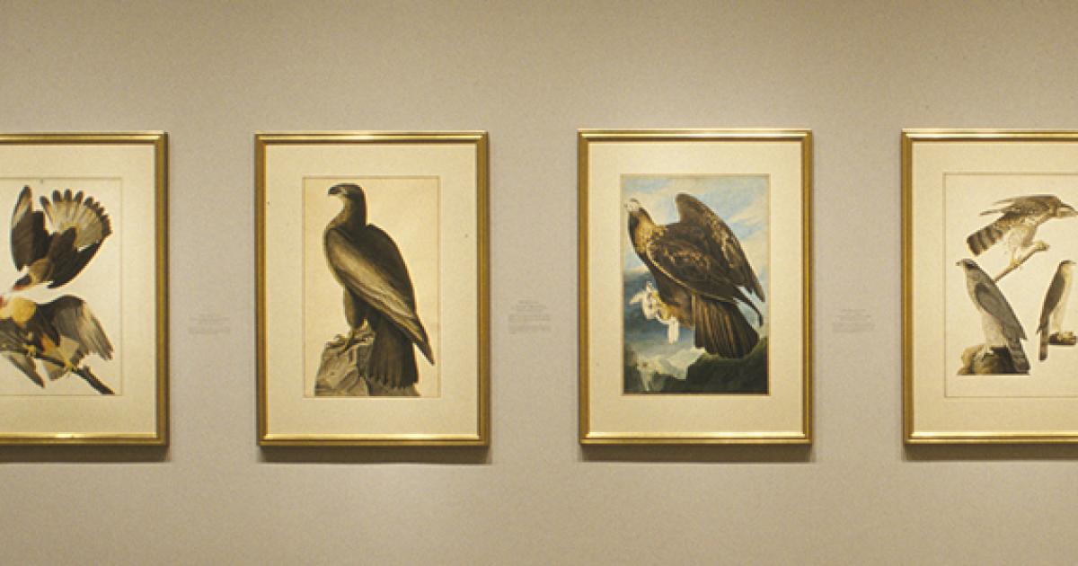 John James Audubon | National Gallery of Art